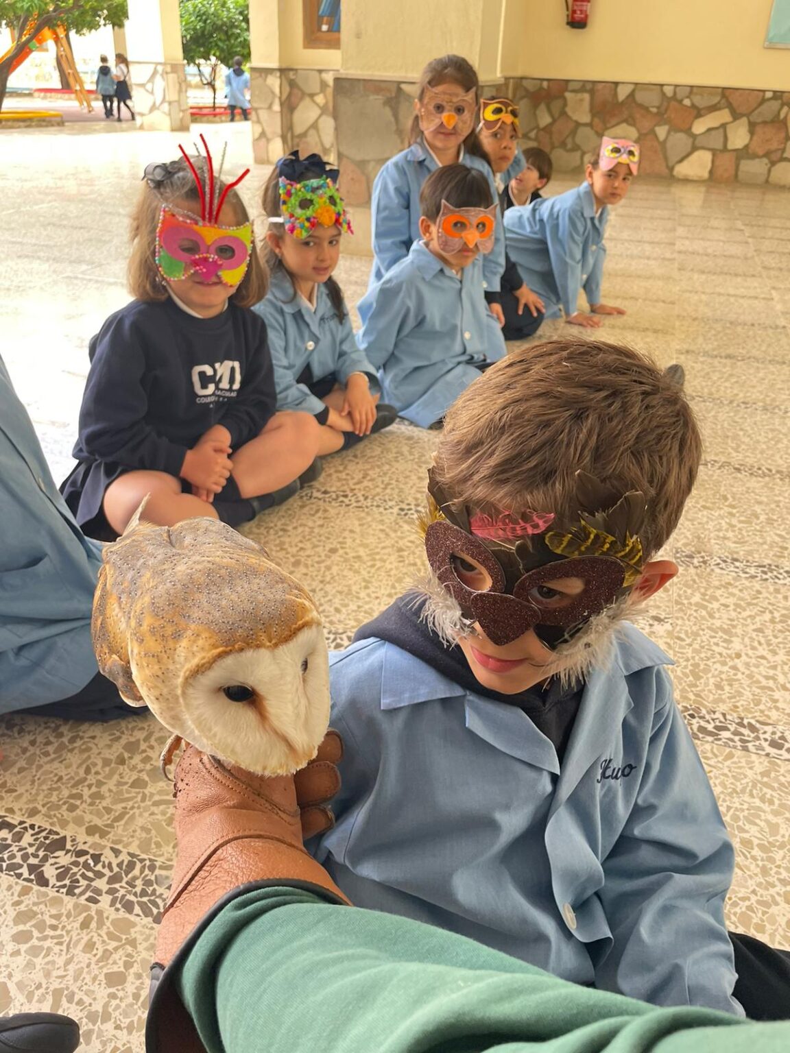 Proyecto del Buho – Colegio María Inmaculada – Antequera